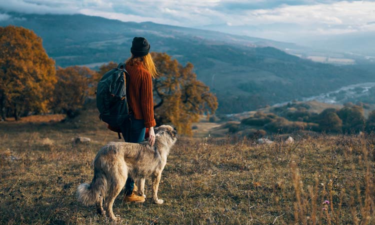 Urlaub mit Hund: Das ist zu beachten